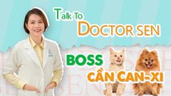 TALK TO DOCTOR SEN 1 | CANXI: NỀN TẢNG CỦA SỨC KHỎE