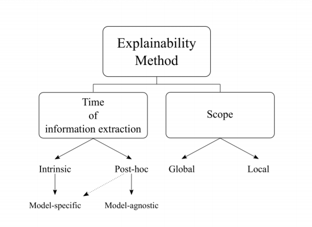 Giải Mã Thuật Toán LIME Trong Explainable AI | CodeLearn