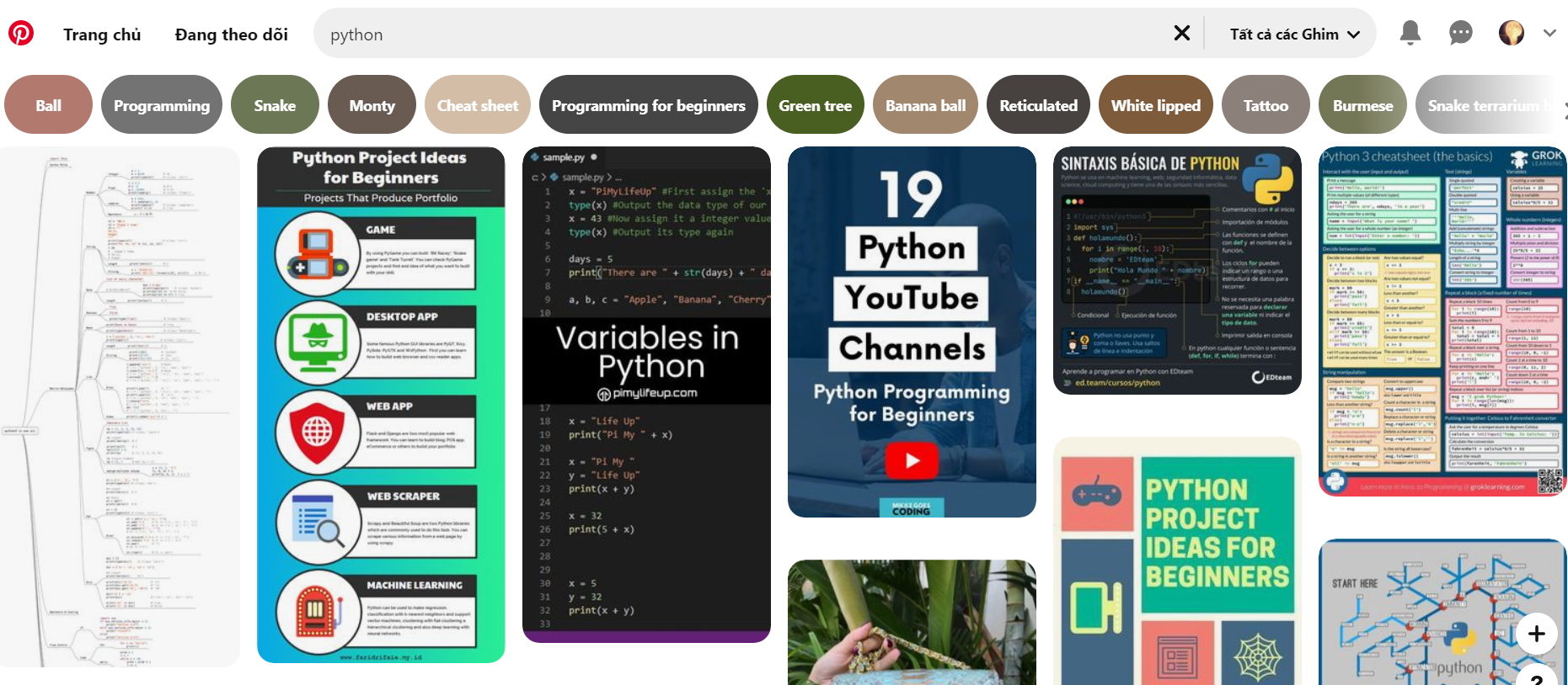 Bất Ngờ Với 5 Ứng Dụng Khủng Được Viết Bằng Python | CodeLearn