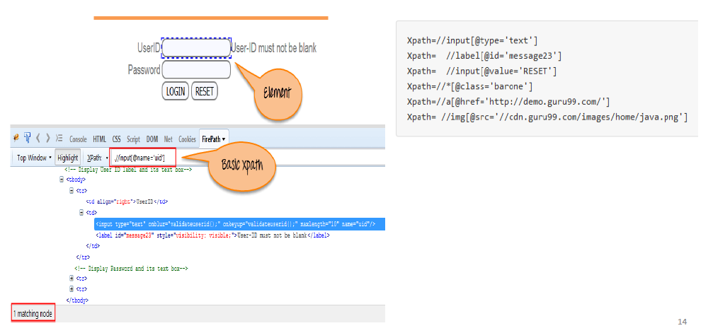 Xác Định Vị Trí Element Với Automation Test | CodeLearn