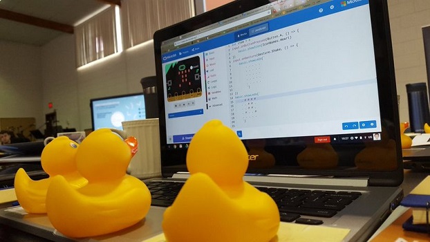 Rubber ducking | CodeLearn